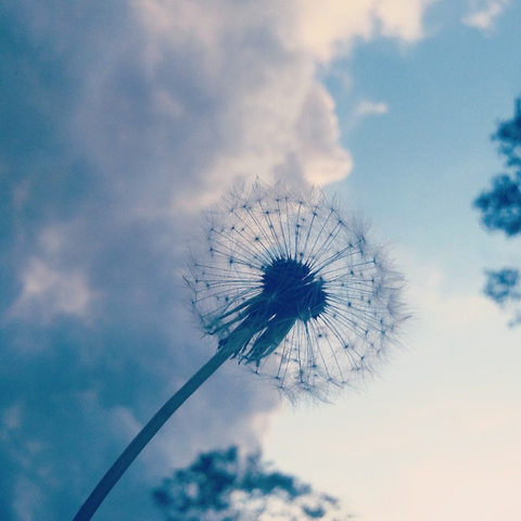 ইচ্ছে – Delhi Poetry Slam