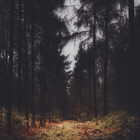 Moonchild – Delhi Poetry Slam