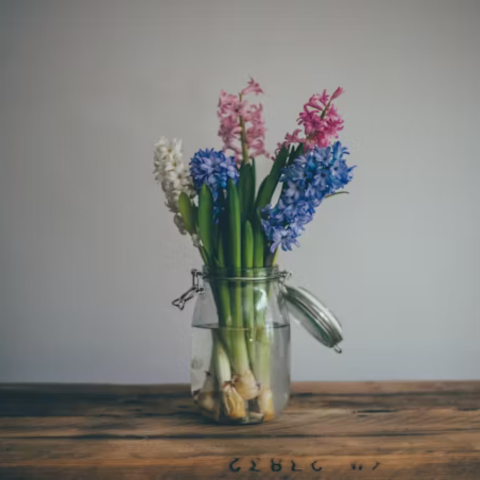Hyacinths – Delhi Poetry Slam